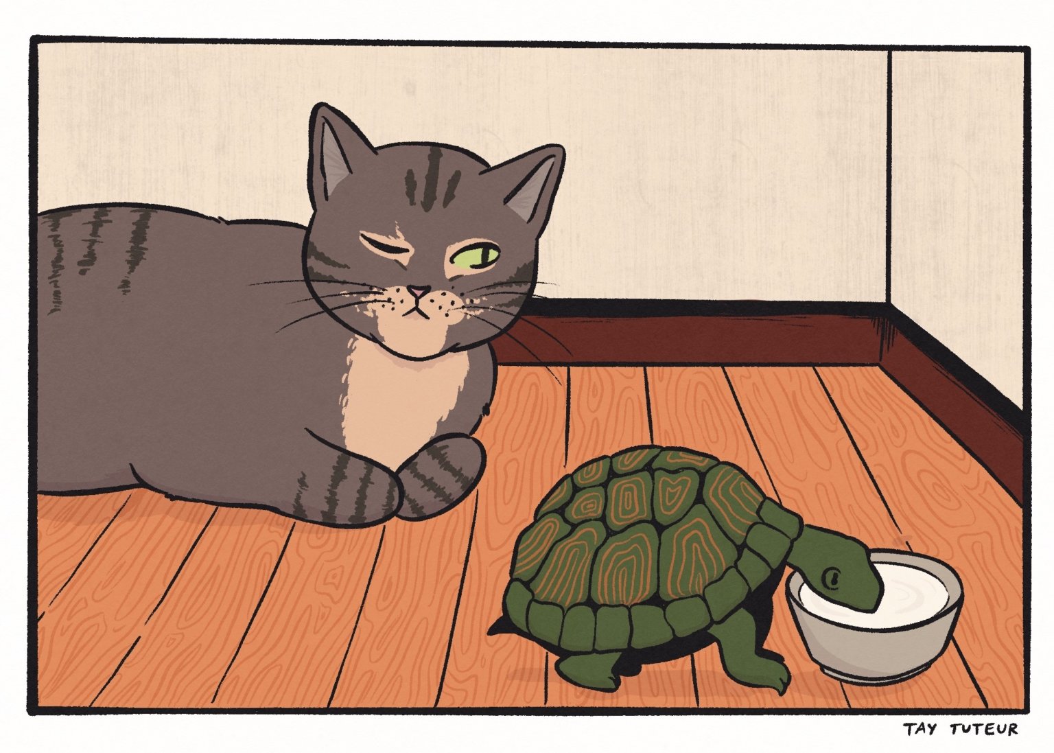 Basement Turtles - Saint Louis Bank Blog